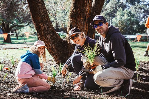 Waterwise Verge and Garden Workshop | City of Subiaco