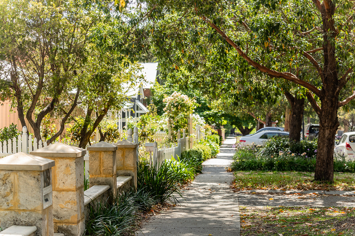 356 street trees planted to increase urban forest | City of Subiaco