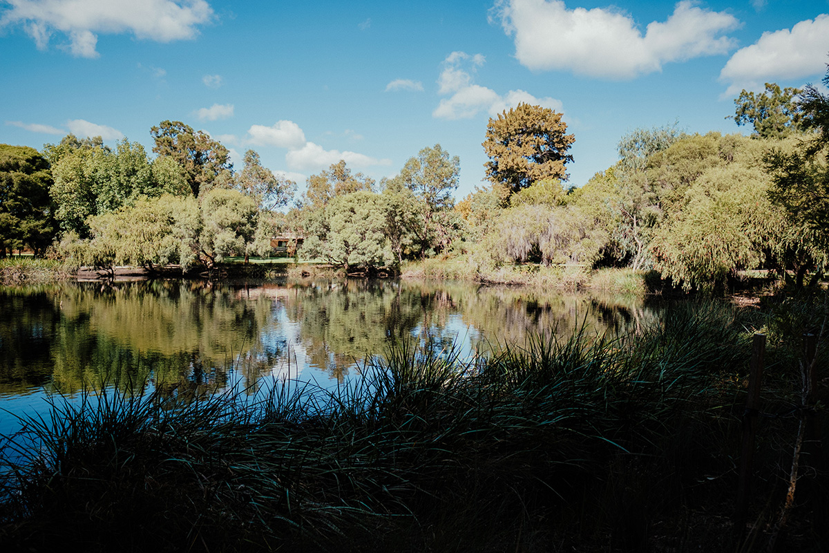 Aerators to improve water quality at Mabel Talbot lake | City of Subiaco